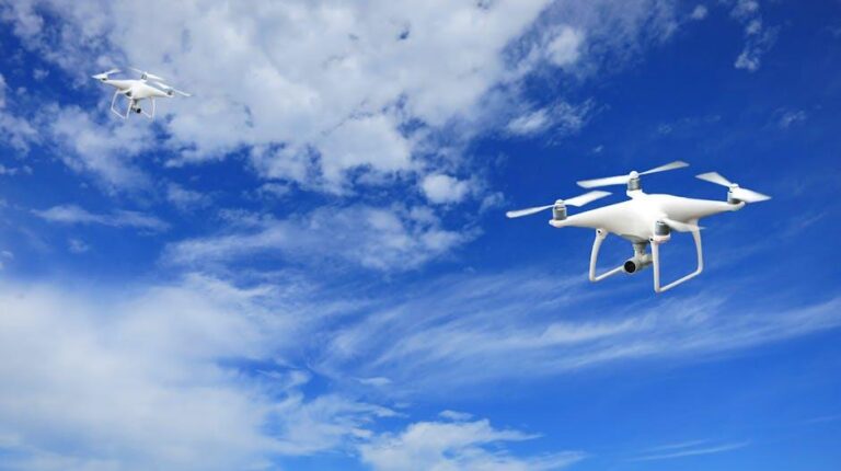 The Use of Drones in Tree Care - Simpsons Tree Service