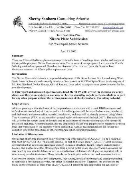 Arborist Reports: Key Insights for Tree Owners - Simpsons Tree Service